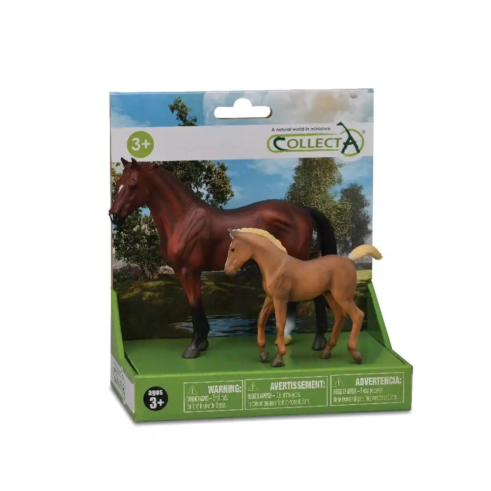 Collecta - Horses Life 2 Pieces - 89255